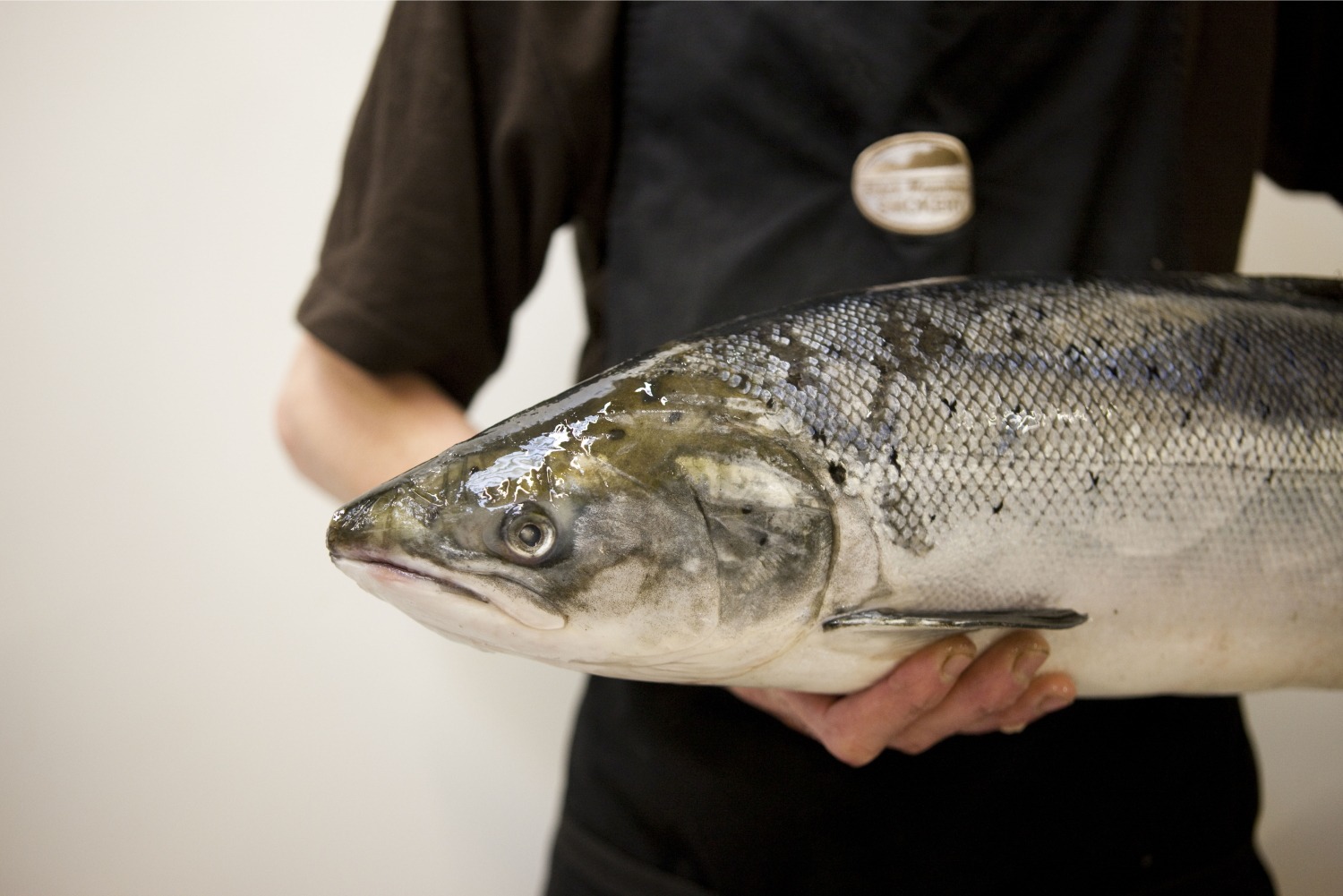 Traditionally Smoked Salmon